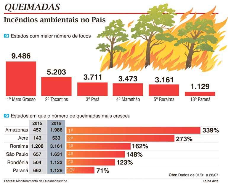Número De Incêndios Ambientais Aumenta 71 No Paraná Folha De