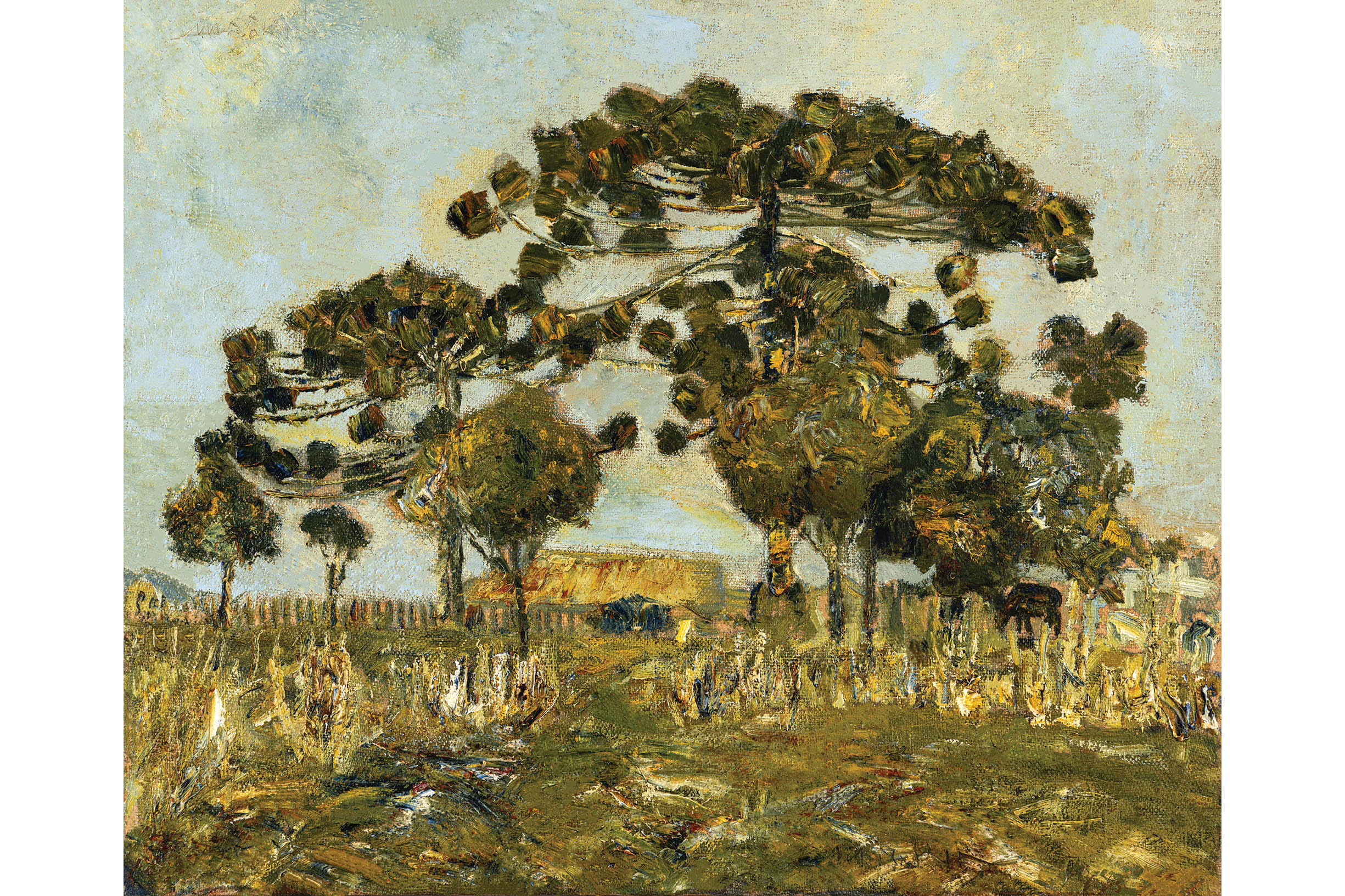 MON abre nova exposição com obras de Miguel Bakun