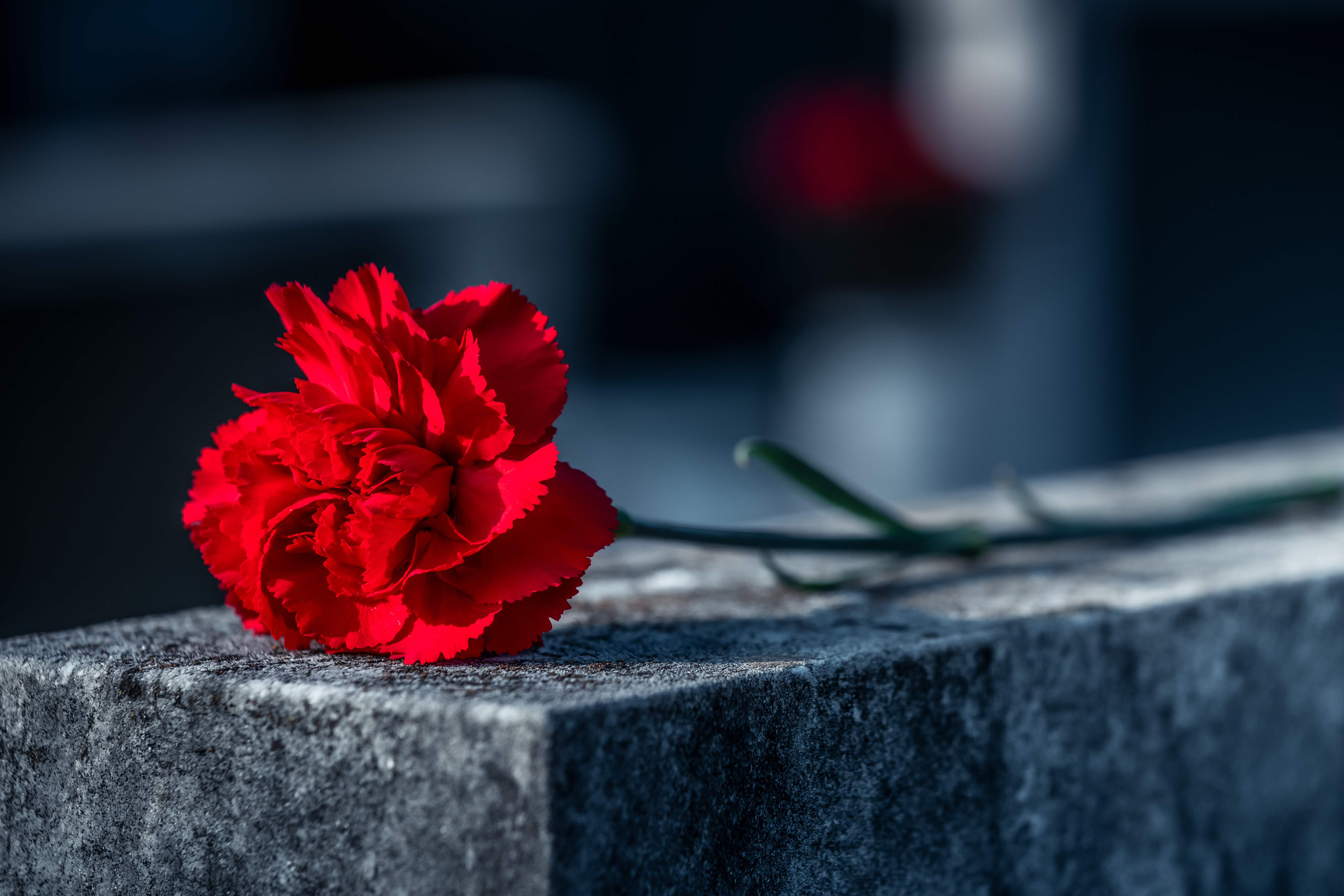Falando da velha morte: por que não há crematórios municipais?