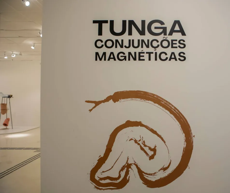 Os 70 anos de Tunga, um ícone das artes visuais