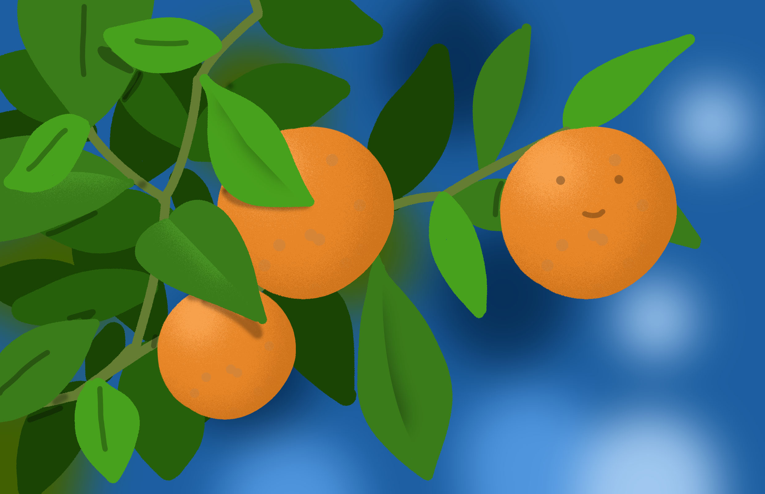 LIMÃO CRAVO OU LIMÃO ROSA?